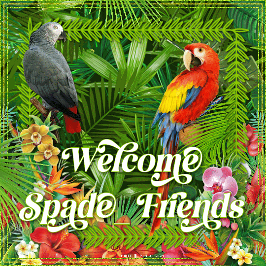 MyLeague: spade_friends